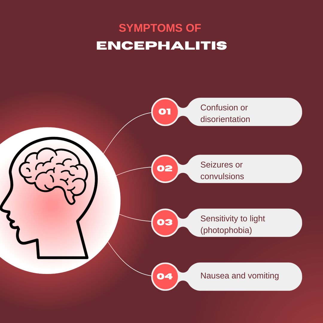 Signs And Symptoms Of Herpes Simplex Virus Encephalitis Infoupdate
